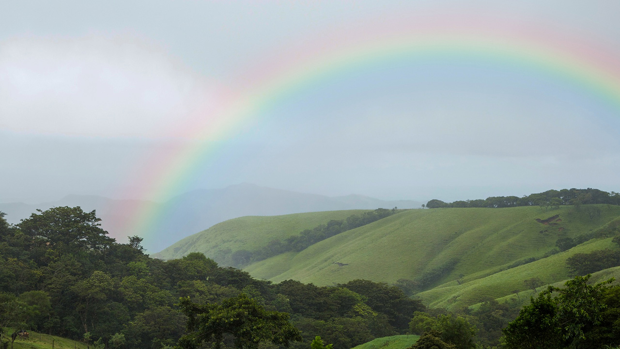 Les couleurs de l'arc-en-ciel et leurs significations
